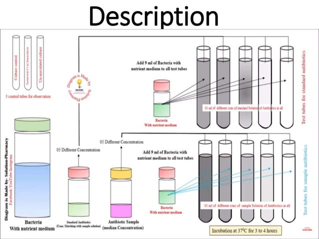 Microbiological assay of antibiotics | PPTX | Chemistry | Science