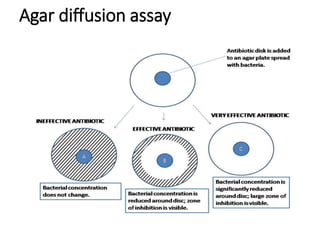 Microbiological assay of antibiotics | PPTX