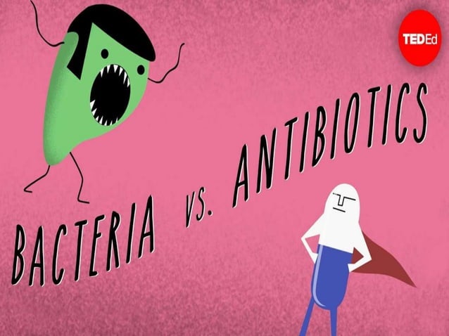 Microbiological assay of antibiotics | PPTX | Chemistry | Science