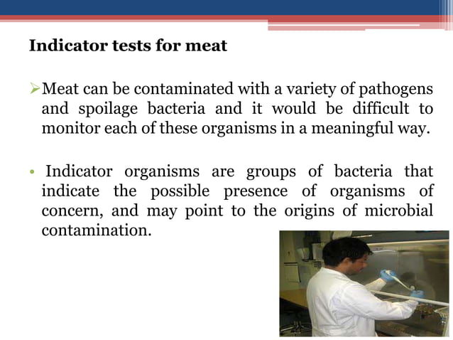 Microbiological Standards For Meat | PPTX | Infectious Diseases ...