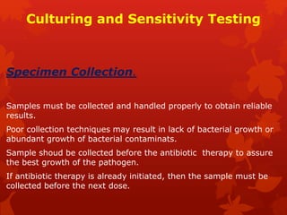 Microbiological culture sensitivity test | PPTX