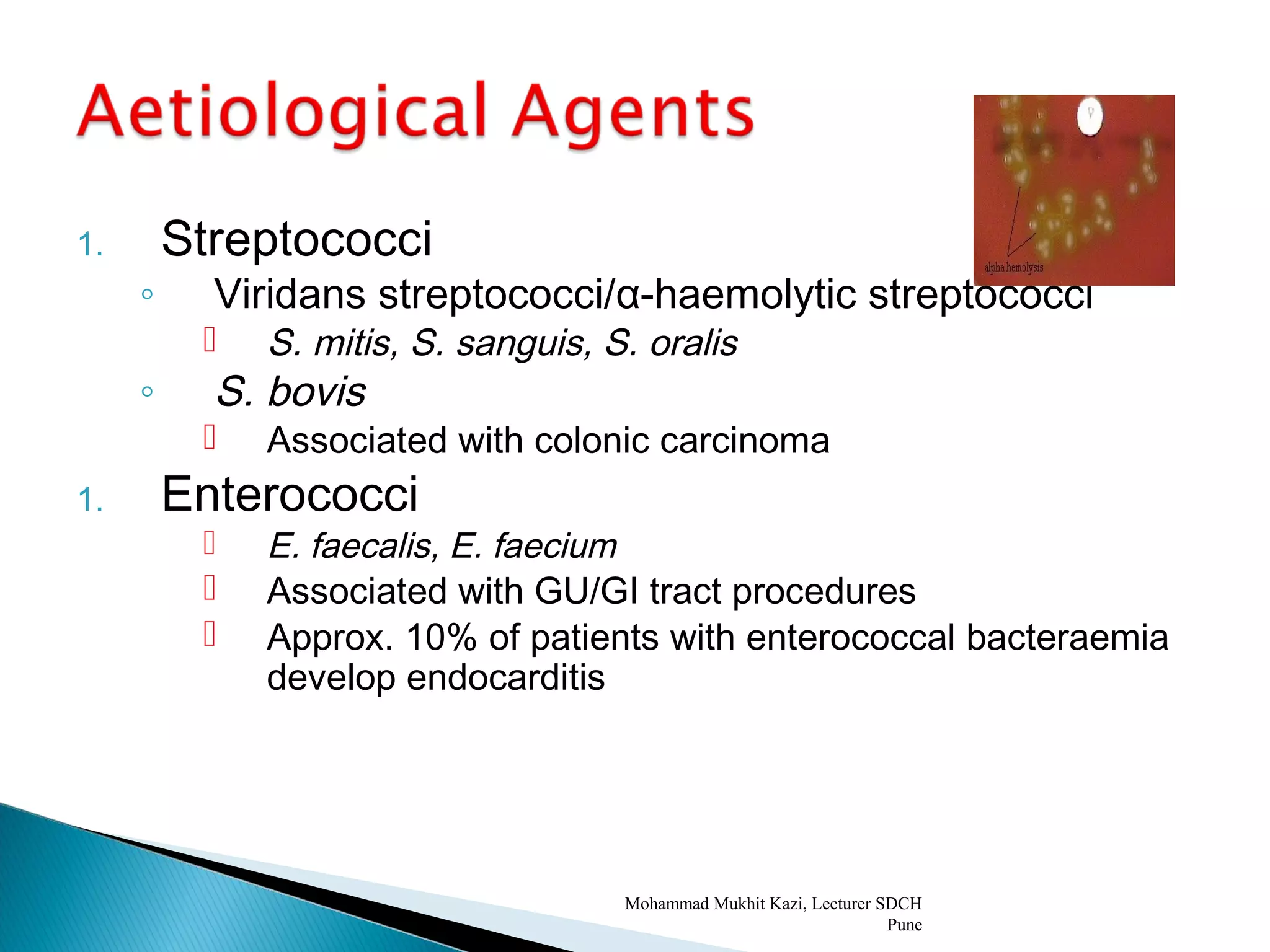 Microbiological diagnosis infective endocarditis | PPT