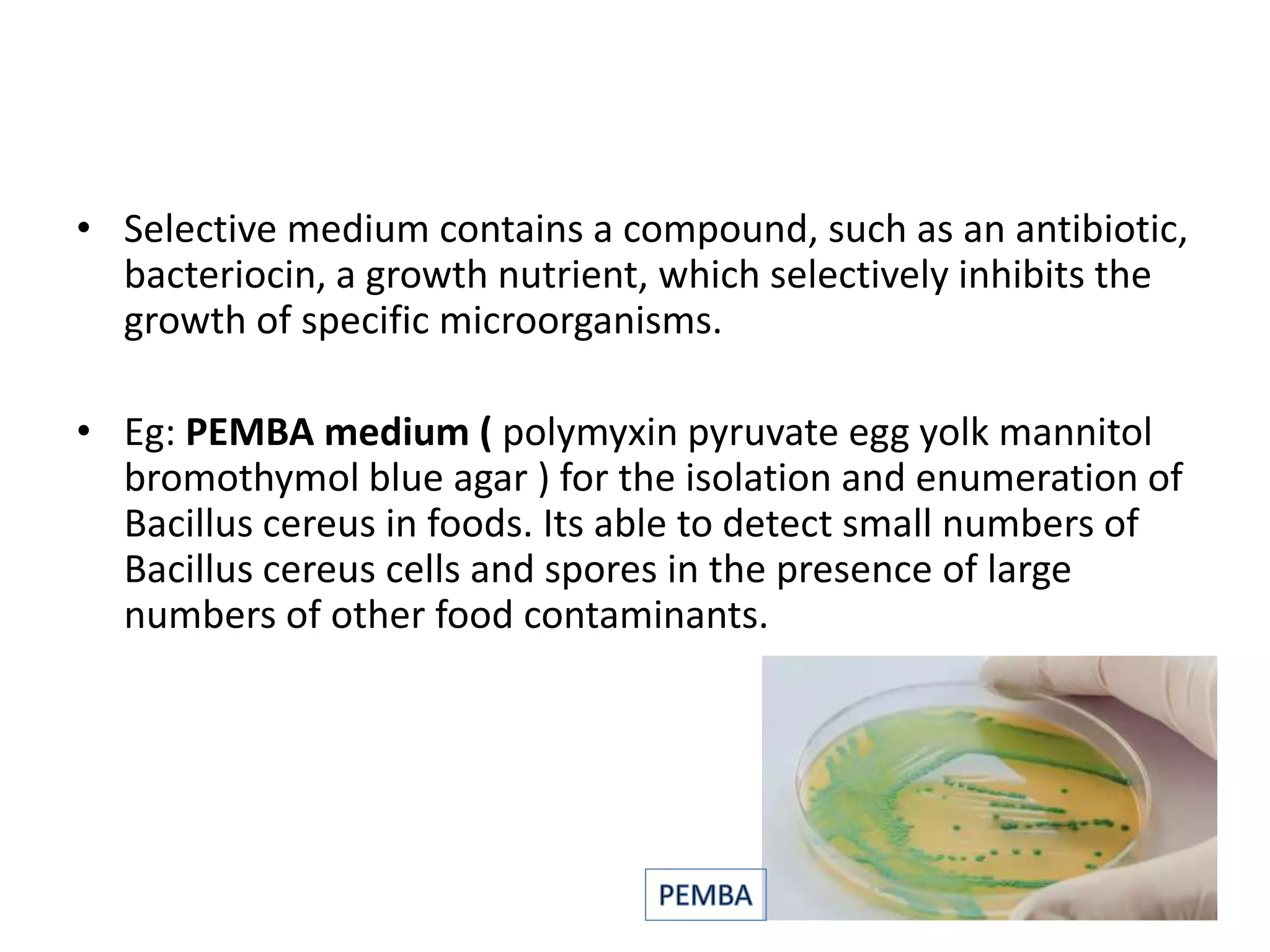 Microbiological examination of food | PPTX