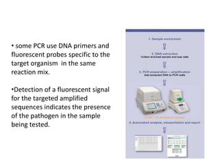 Microbiological examination of food | PPTX