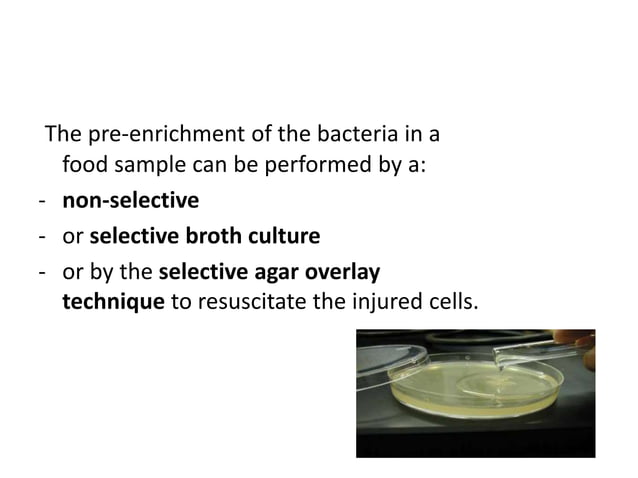 Microbiological examination of food | PPTX