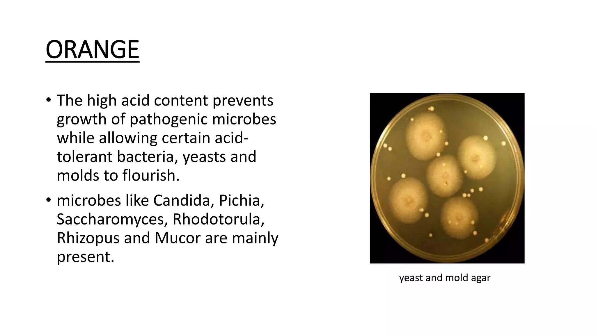 Microbiological examination of normal food(milk and fruits) | PPT