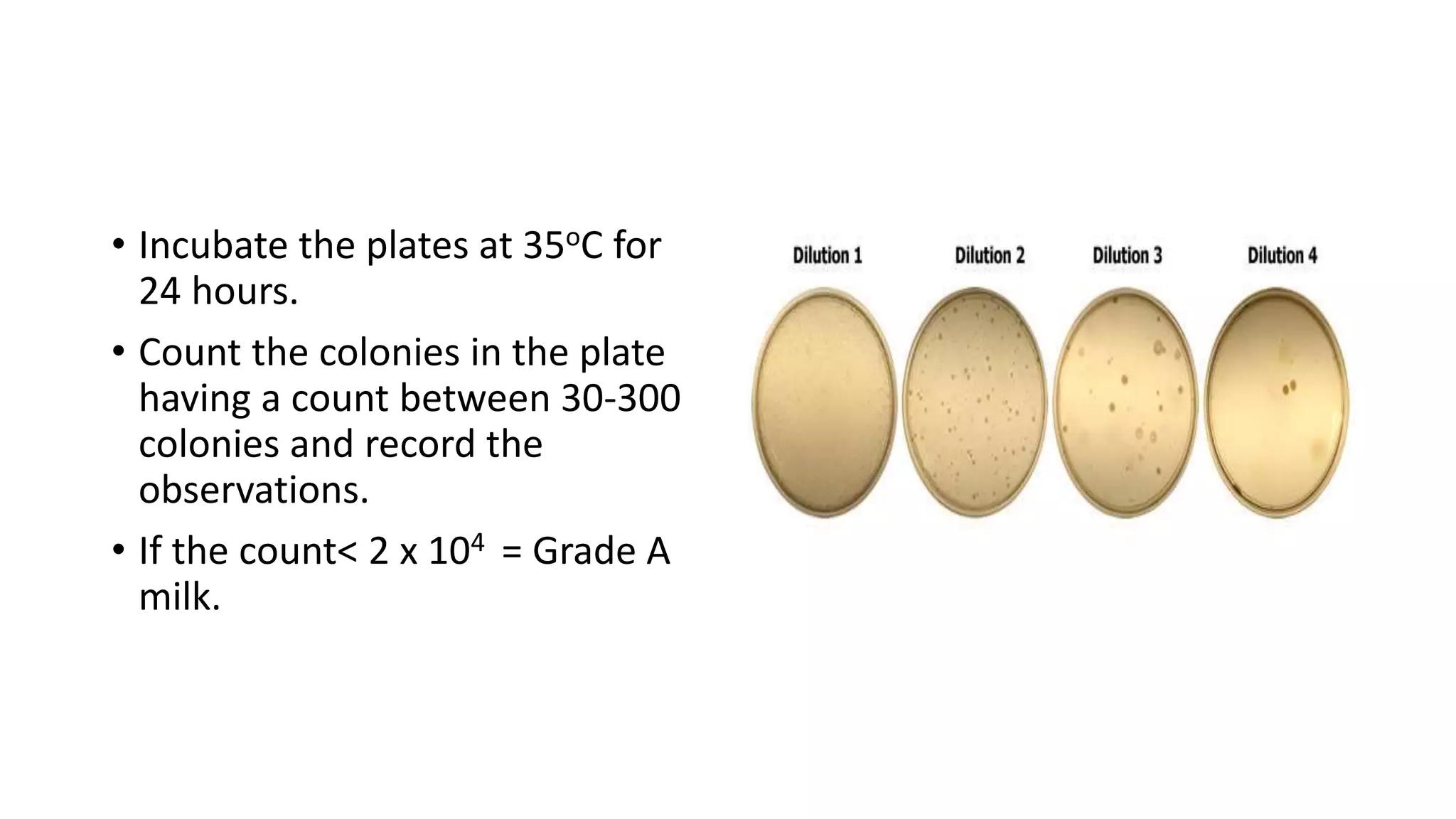 Microbiological examination of normal food(milk and fruits) | PPT