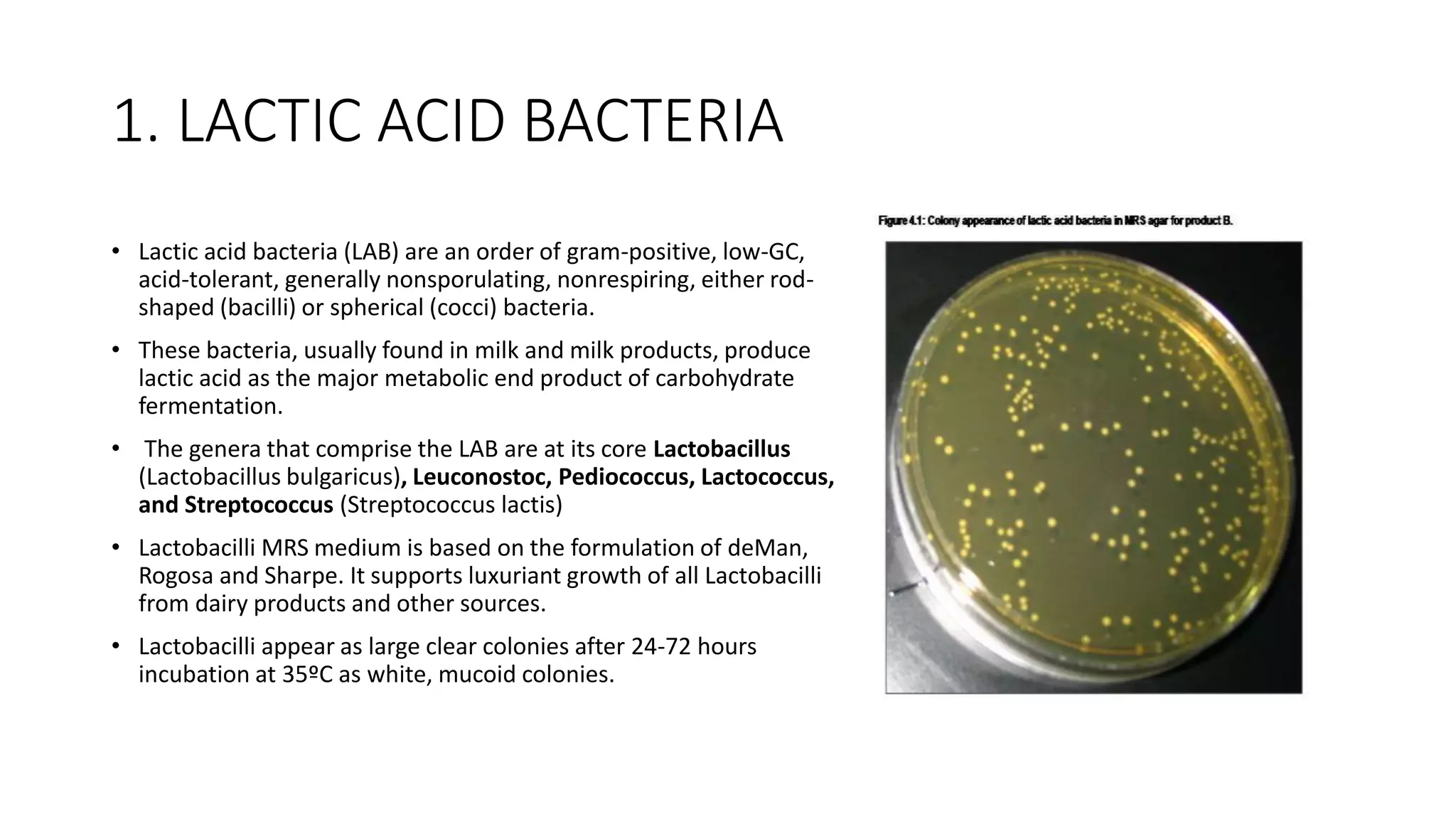 Microbiological examination of normal food(milk and fruits) | PPT