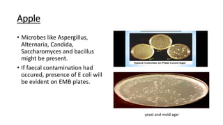 Microbiological examination of normal food(milk and fruits) | PPT