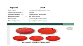 Microbiological examination of normal food(milk and fruits) | PPT