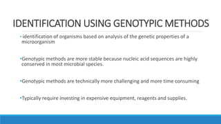Microbiological identification | PPTX | Biological Sciences | Science