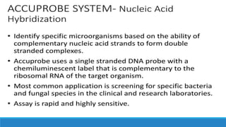 Microbiological identification | PPTX | Biological Sciences | Science