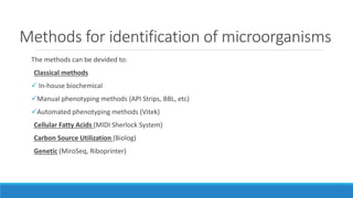 Microbiological identification | PPTX | Biological Sciences | Science