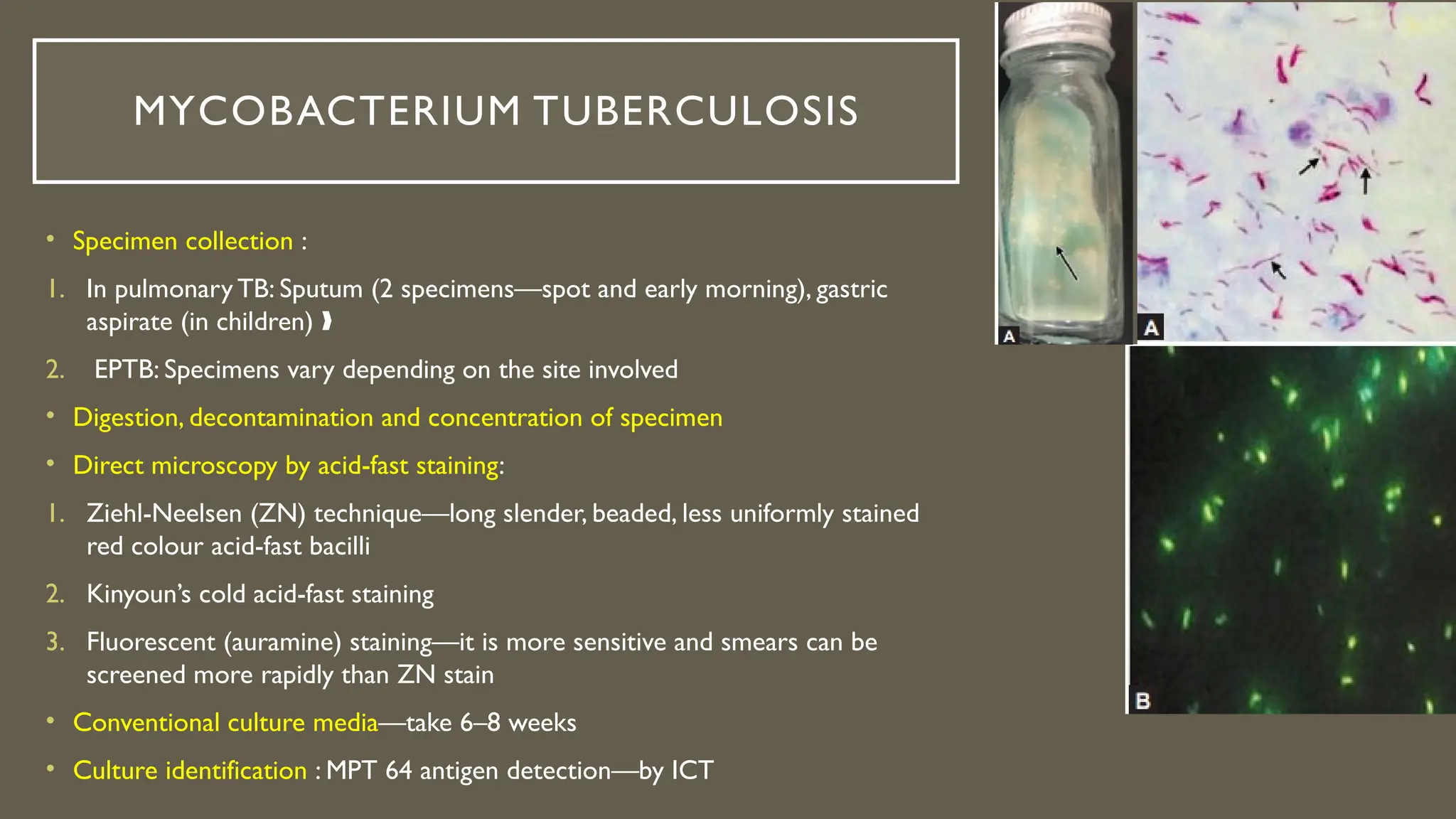 Microbiological investigations in ent.pptx
