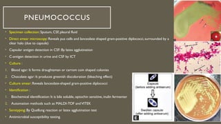 Microbiological investigations in ent.pptx