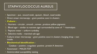Microbiological investigations in ent.pptx