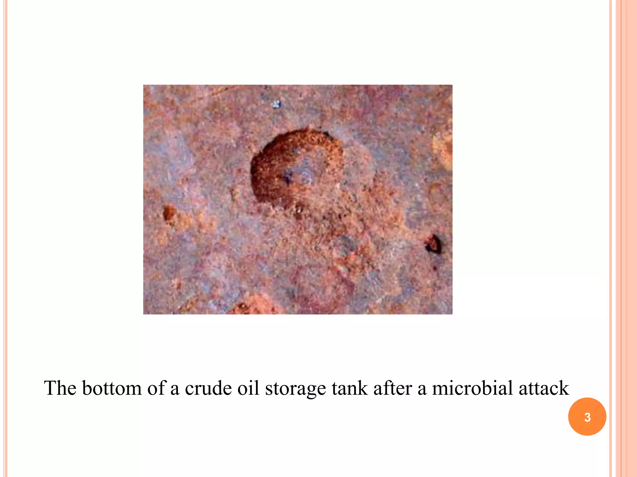 Microbiologically influenced corrosion (mic) or biological corrosion | PPTX