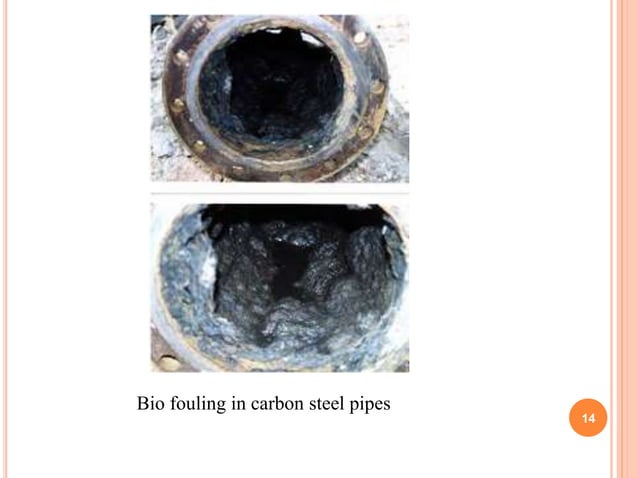 Microbiologically influenced corrosion (mic) or biological corrosion | PPTX