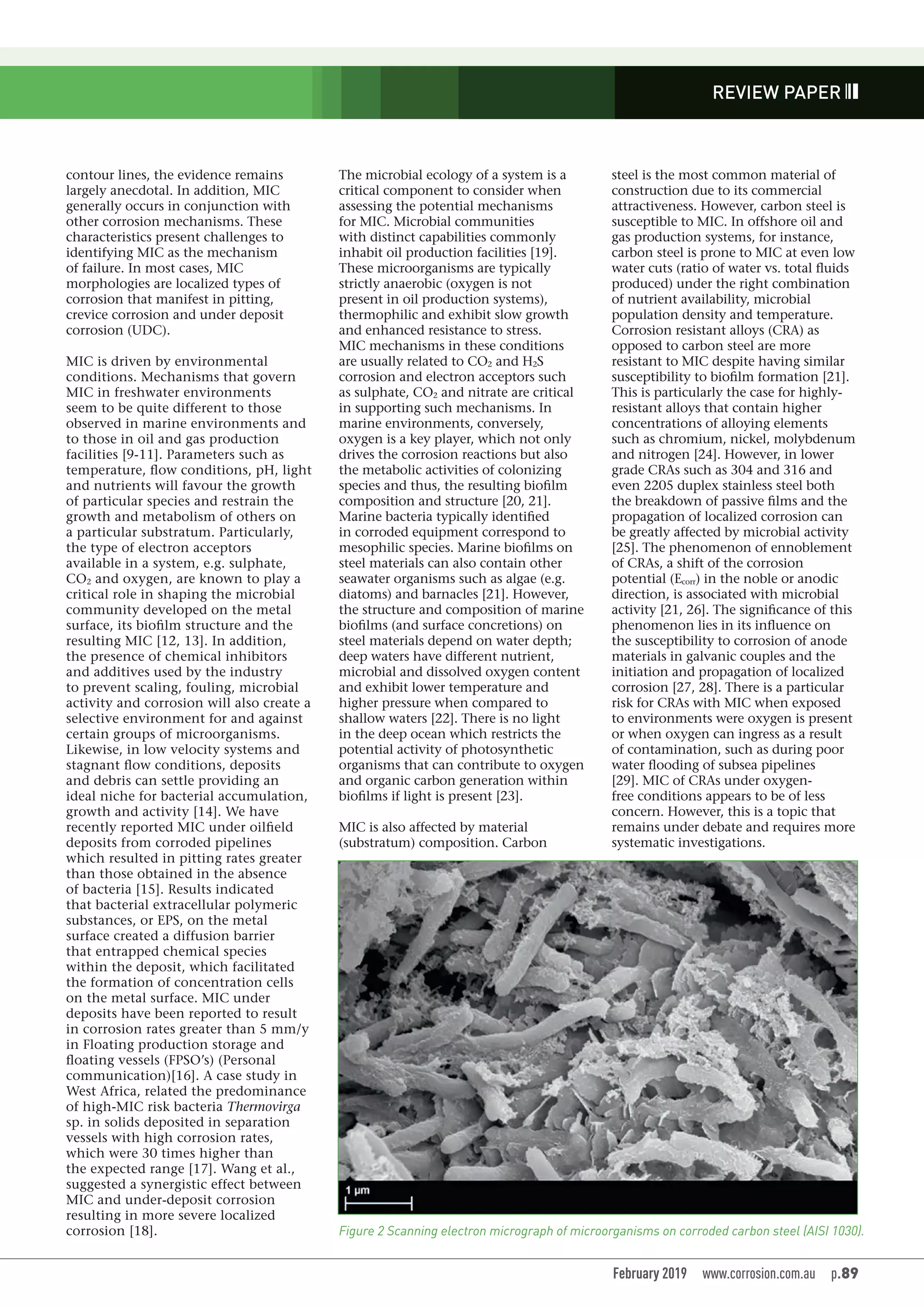 Microbiologically influenced corrosion (mic) 2019 | PDF