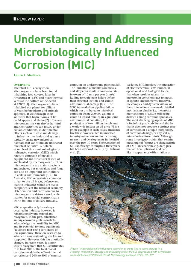 Microbiologically influenced corrosion (mic) 2019 | PDF