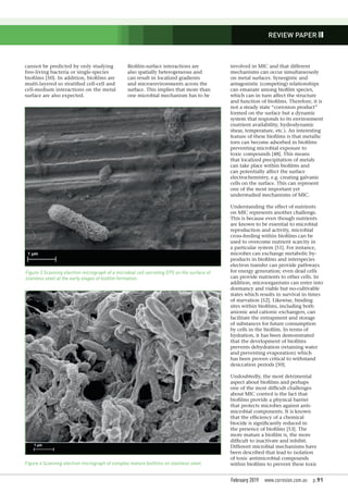 Microbiologically influenced corrosion (mic) 2019 | PDF