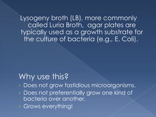 Microbiological methods | PPTX