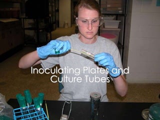 Microbiological methods | PPTX