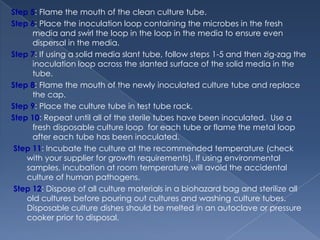 Microbiological methods | PPTX
