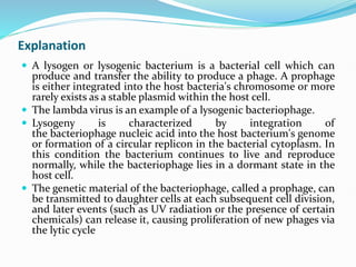 Virus & Bacteriophage questions and Discussion | PPTX