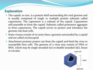 Virus & Bacteriophage questions and Discussion | PPTX