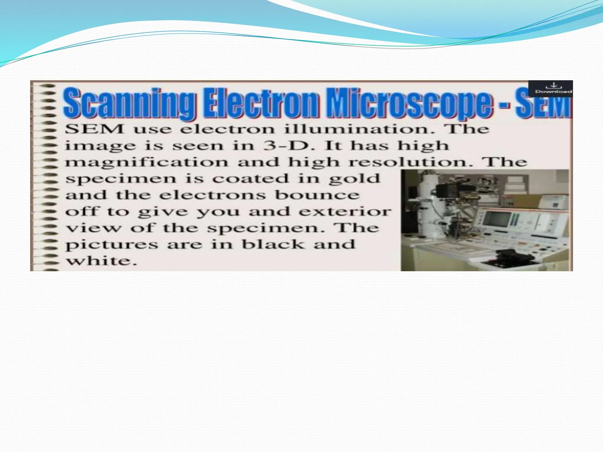 Microbiologist Microscopy question discussion | PPT