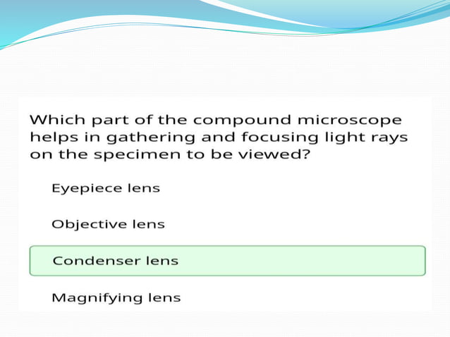 Microbiologist Microscopy question discussion | PPT