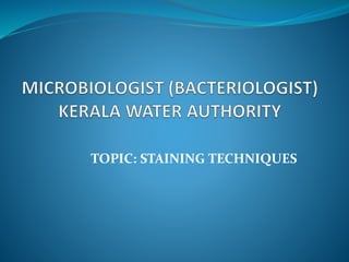 Microbiologist Staining Techniques Questions Pptx
