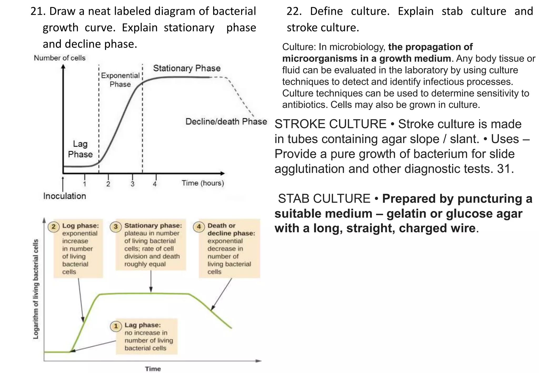 MICROBIOLOGY-1-1.pptx | Gardening | Home & Garden