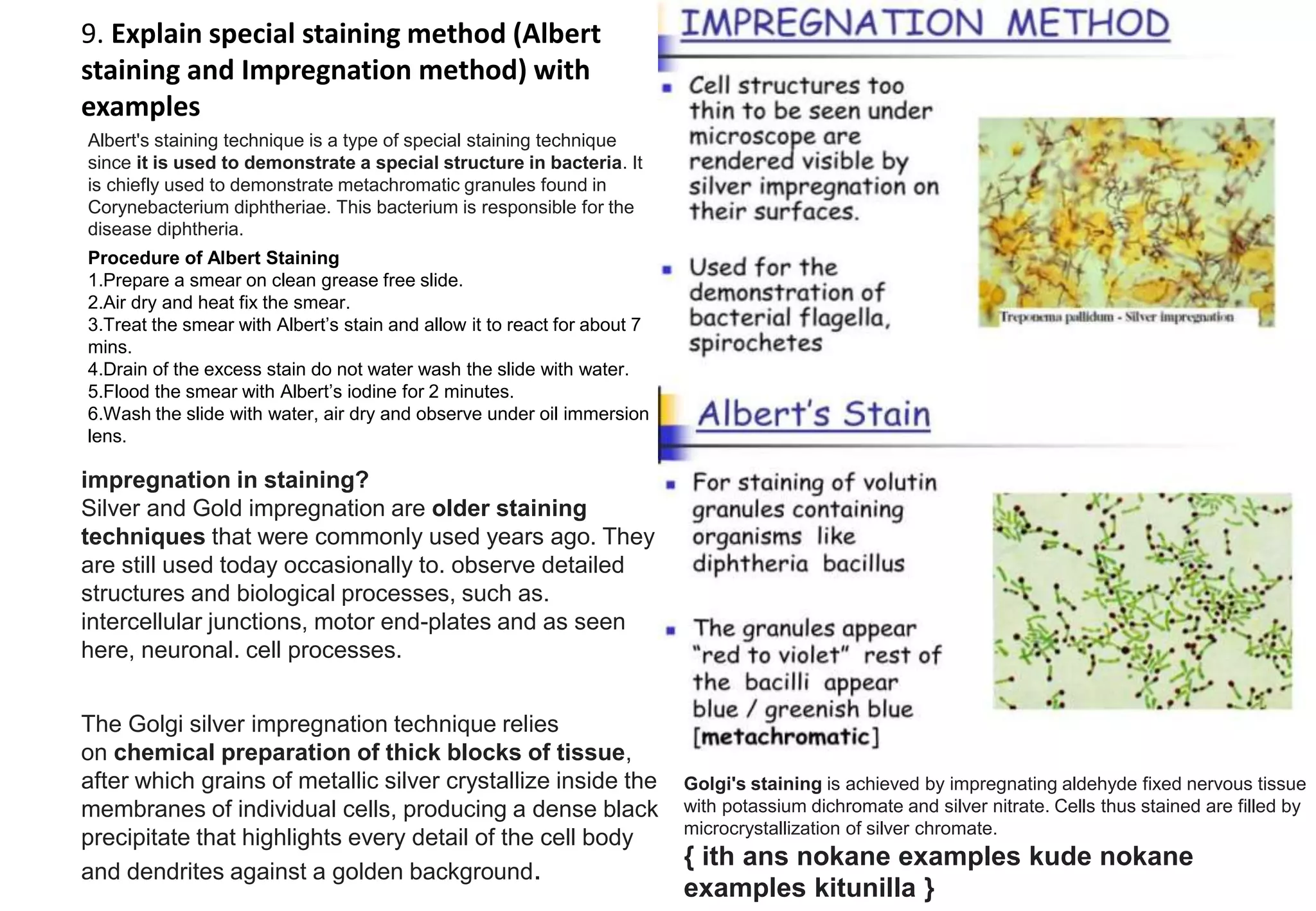 MICROBIOLOGY-1-1.pptx | Gardening | Home & Garden