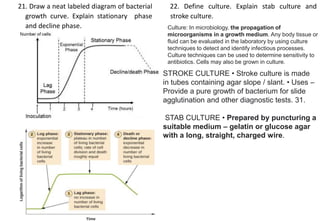 MICROBIOLOGY-1-1.pptx