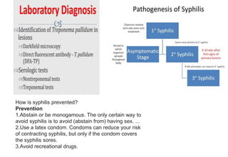 MICROBIOLOGY-1-1.pptx