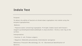 microbiology eukaryotes presentation ppt | PPTX