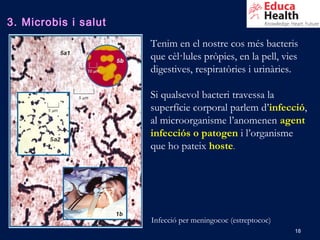 Microbiology | PPT