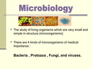 Microbiology | PPT