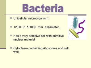 Microbiology | PPT