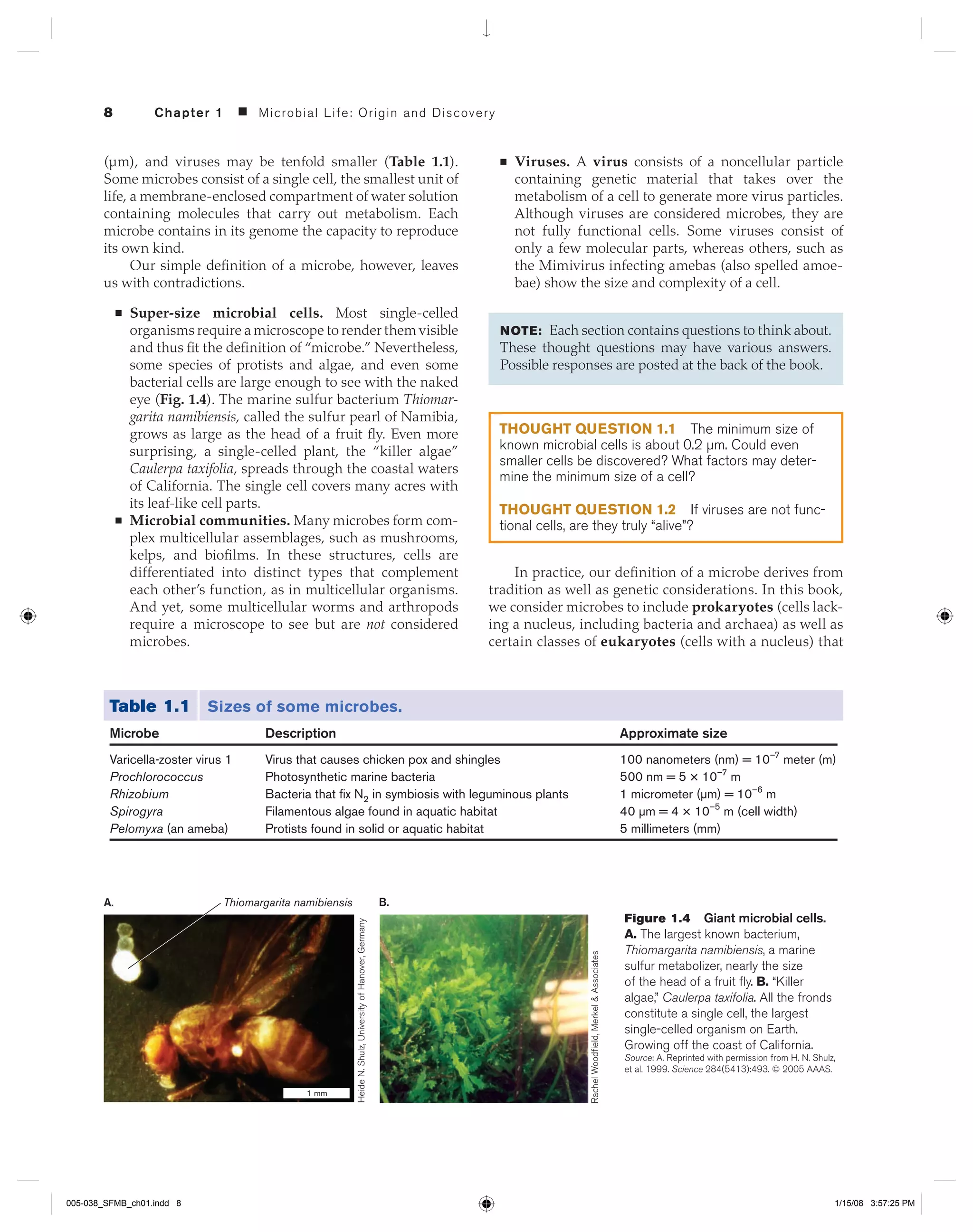Microbiology an evolving science 3rd edition | PDF
