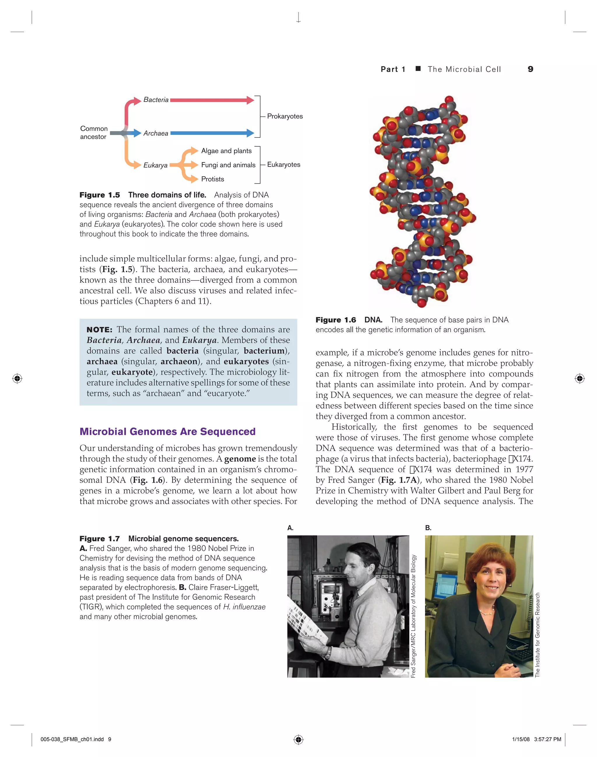 Microbiology an evolving science 3rd edition | PDF