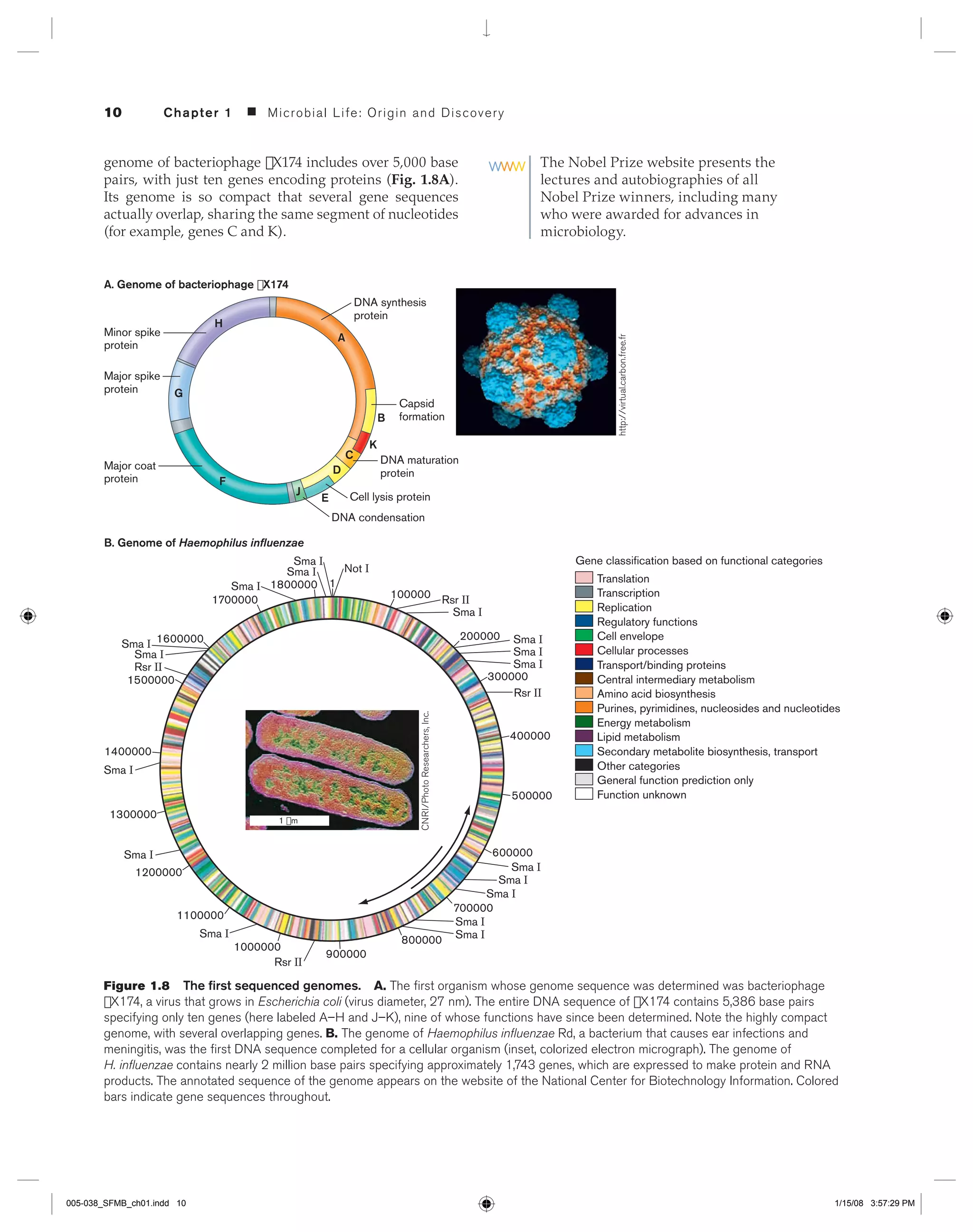 Microbiology an evolving science 3rd edition | PDF