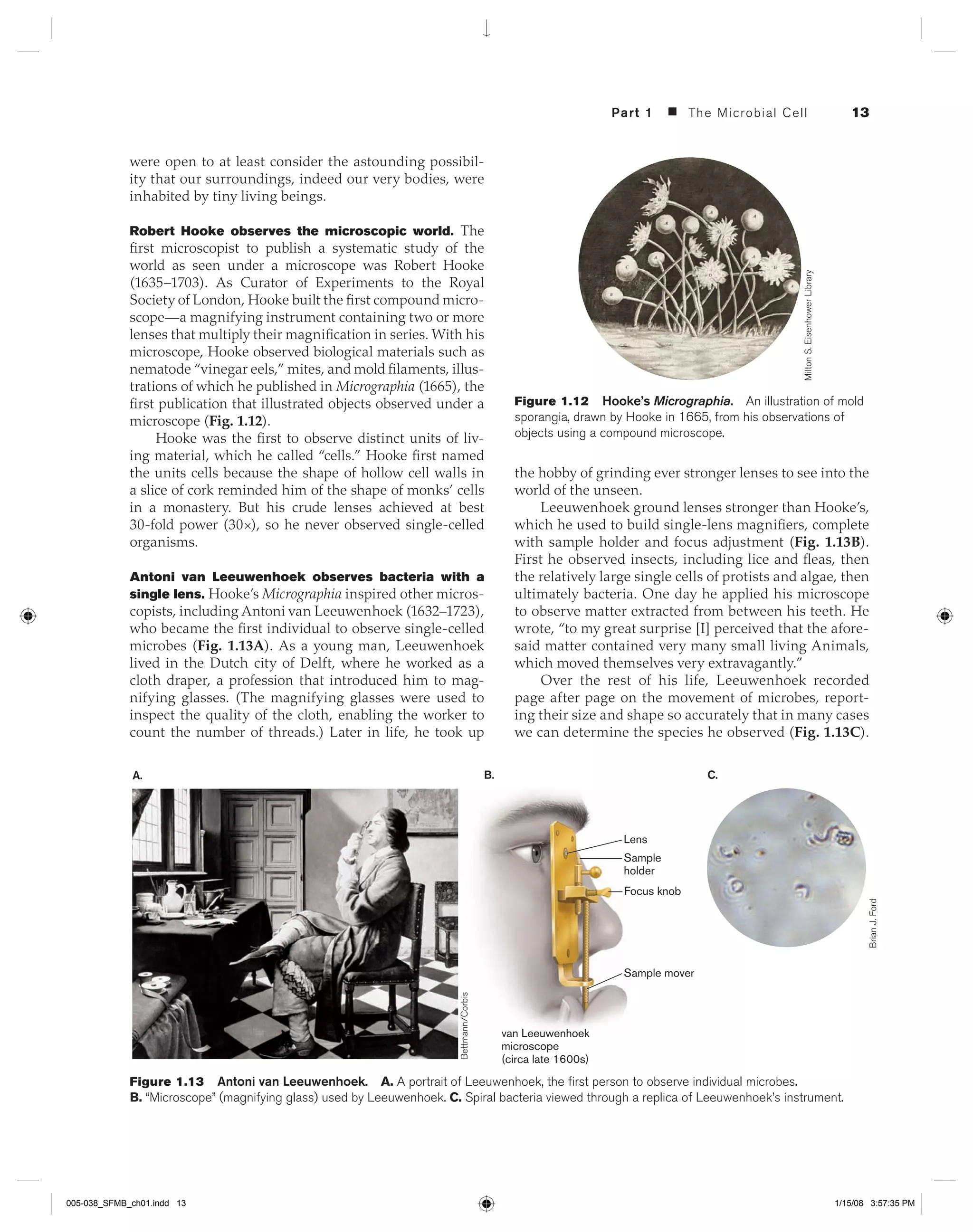 Microbiology an evolving science 3rd edition | PDF