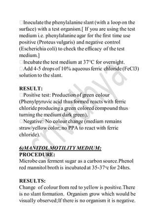 Microbiology | DOCX