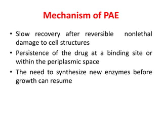Pharmacodynamics of antibiotics | PPTX