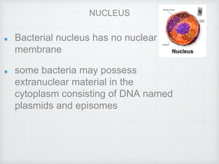 ORAL MICROBIAL FLORA | PPTX