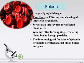Structure and Functions of immune system- MICROBIOLOGY | PPTX