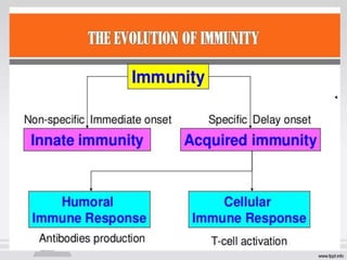 Structure and Functions of immune system- MICROBIOLOGY | PPTX